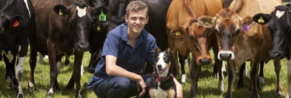 Herd Manager - GoDairy